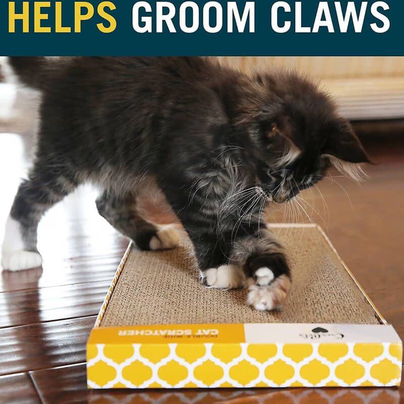 Cosmic Catnip Double-Wide Cat Scratcher