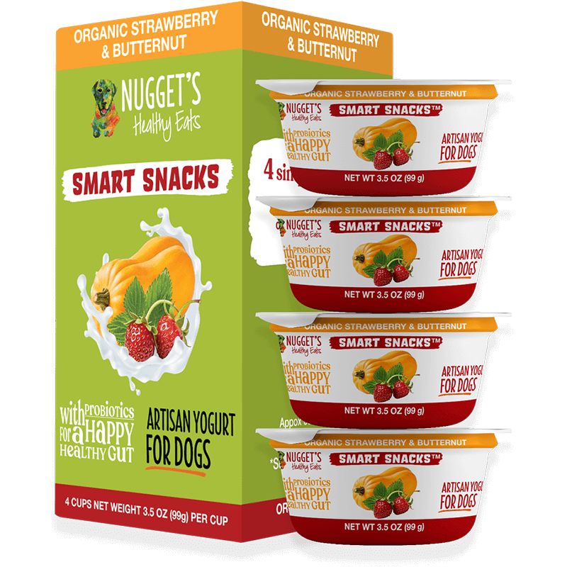 Nugget's Smart Snacks Artisan Frozen Yogurt Strawberry