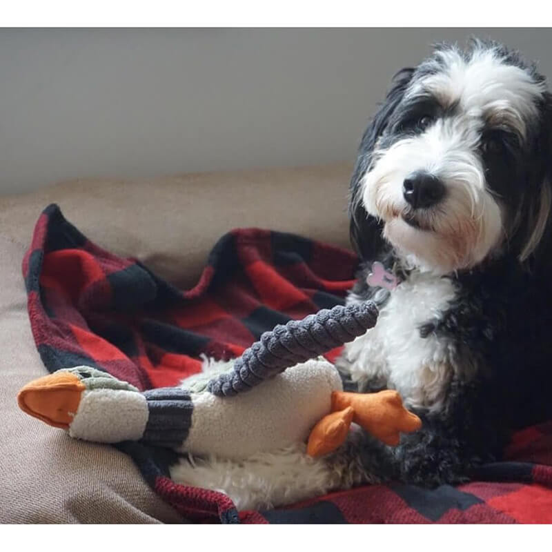 Tall Tails Plush Squeaker Duck 12"