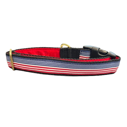 Mackenzie American Flag Collar