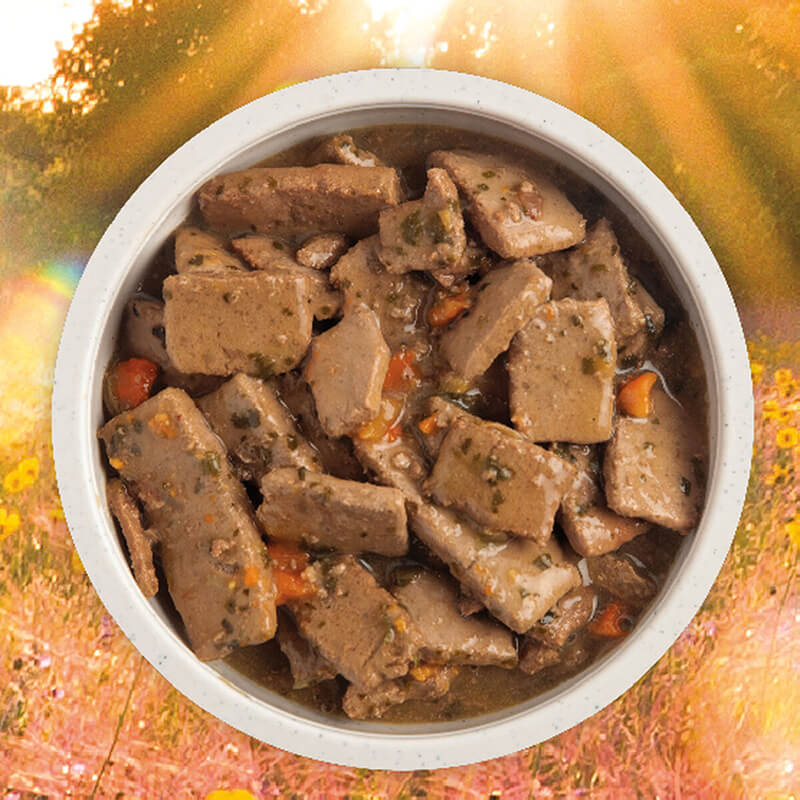 Acana Premium Chunks Beef Recipe in Bone Broth