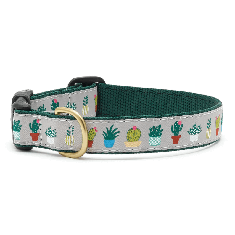 Up Country Collar Planted